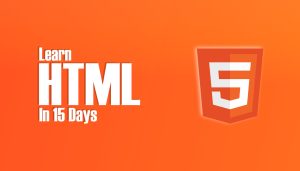 Understand HTML Table Structure, Headers, and Styling – CodingKeeda ...